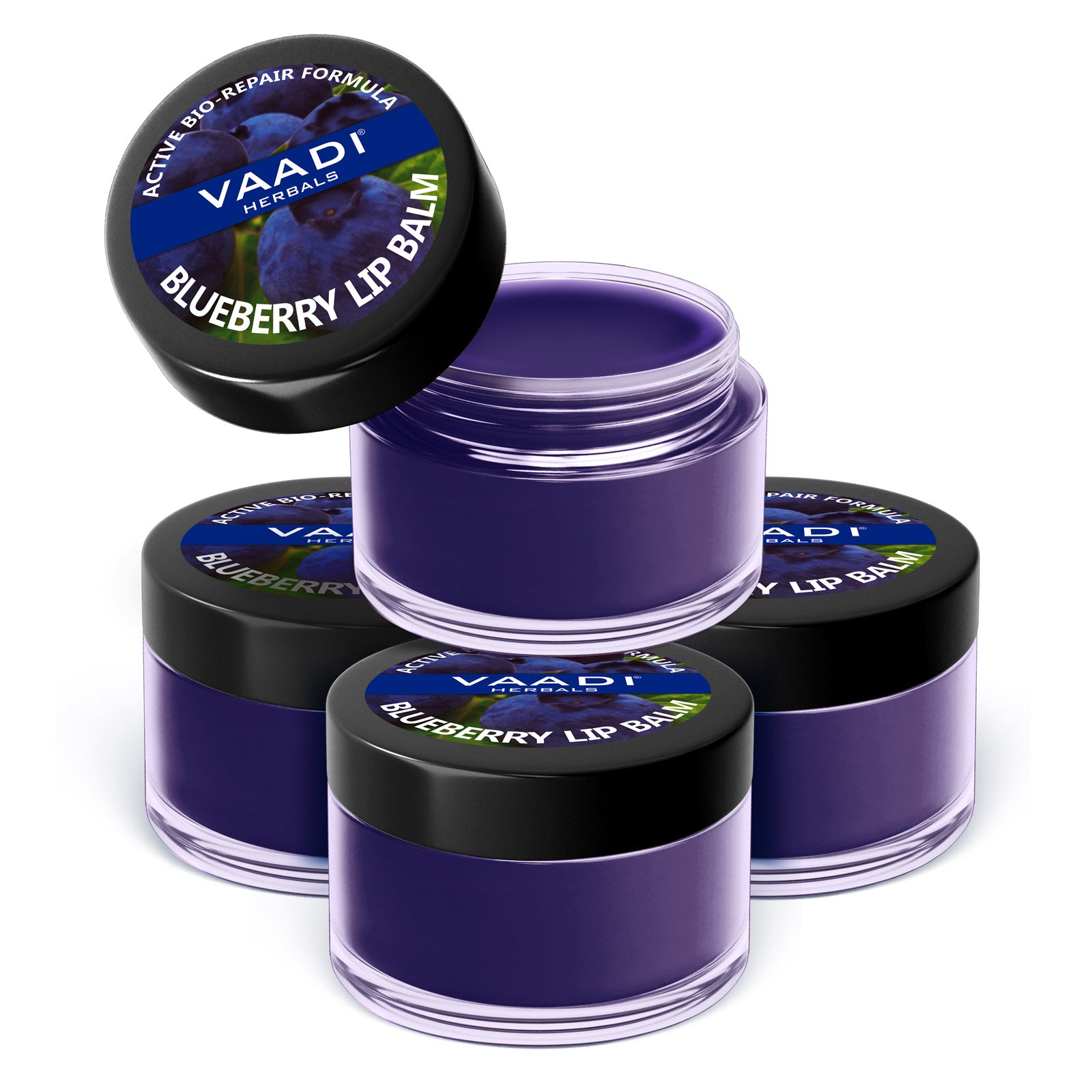 Pack of 4 Lip Balm - Blueberry (10 gms x 4) – Vaadi Herbals India